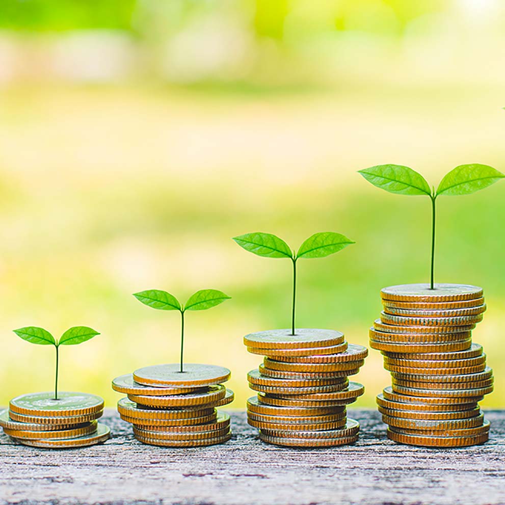 Clean energy and green financing: 20 million euro from Banco BPM for ...